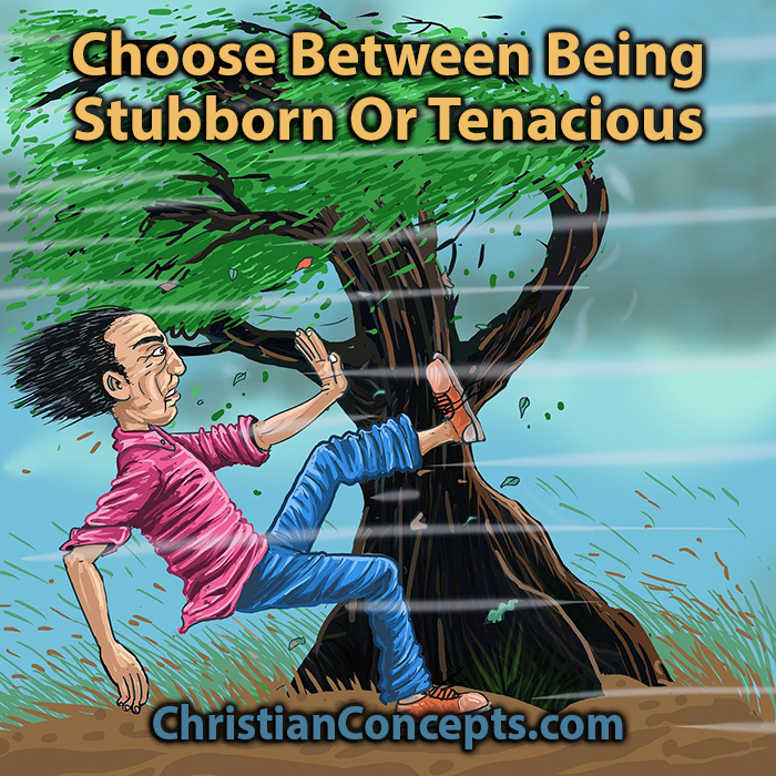 Choose Between Being Stubborn Or Tenacious - Christian Concepts