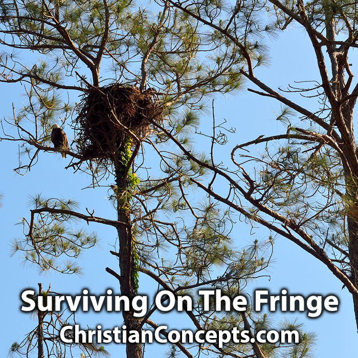 Surviving On The Fringe - Christian Concepts