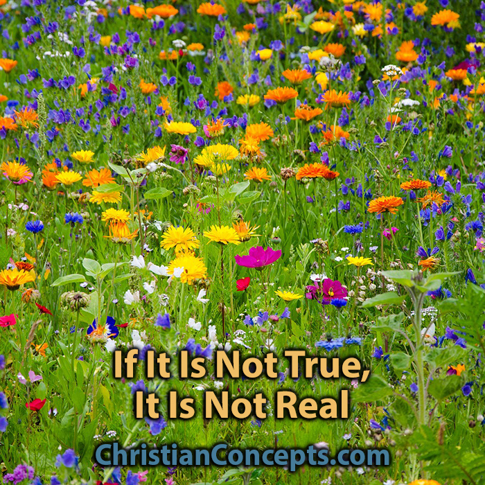 If It Is Not True, It Is Not Real - Christian Concepts