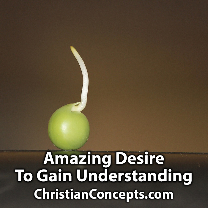 Amazing Desire To Gain Understanding - Christian Concepts
